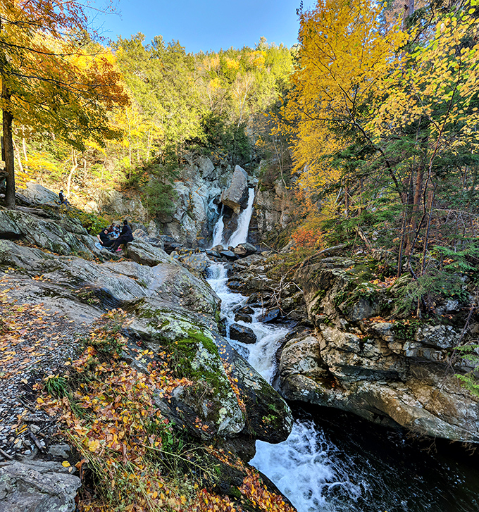 Autumn's golden frame transforms the falls into a painting come to life, where water and foliage compete for who can put on the better show.
