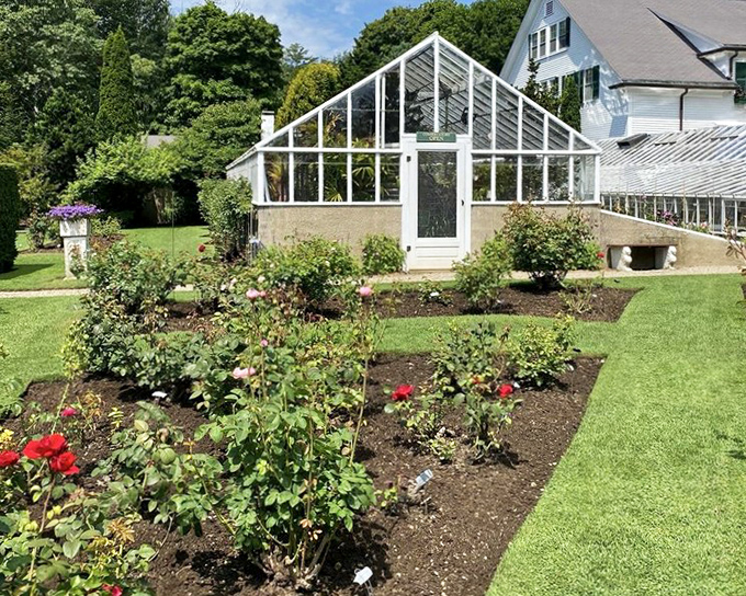 The greenhouse stands ready like a botanical butler, perfectly pressed and gleaming in the New Hampshire sunshine.