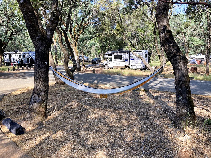 Someone's discovered the secret to afternoon bliss: a hammock perfectly positioned between two oaks, RV optional but recommended.