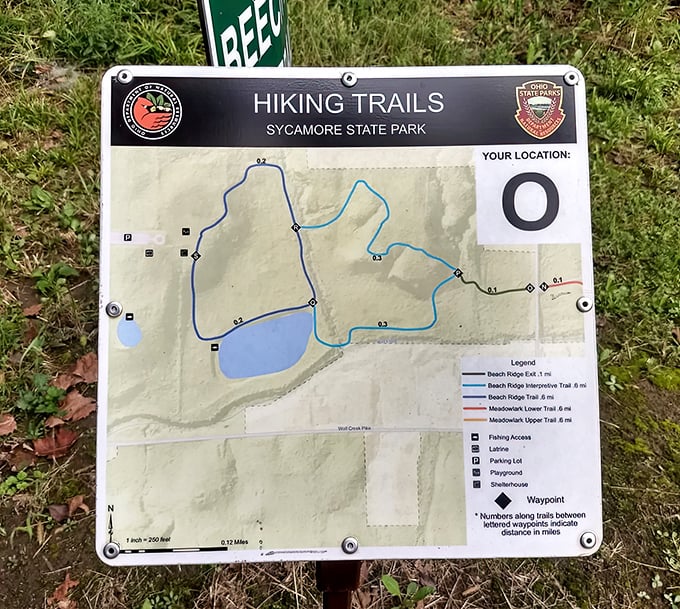 The trail map: nature's menu of adventures. Choose your own outdoor feast from Beach Ridge's appetizer trail to Meadowlark's hearty main course.