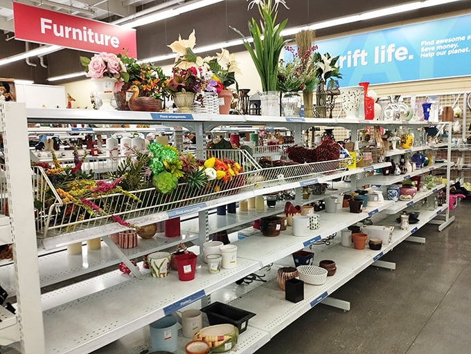 The home decor section: where someone else's "what was I thinking?" becomes your "this is exactly what I needed!"