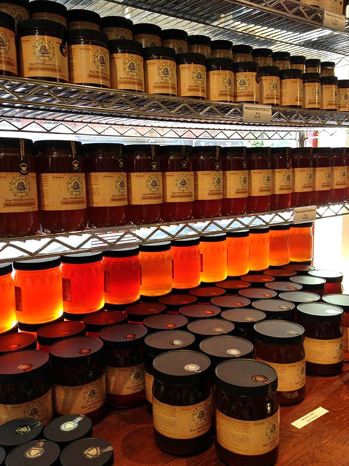 Liquid gold in every shade imaginable. These honey jars transform morning toast from a breakfast into an experience worth waking up for.