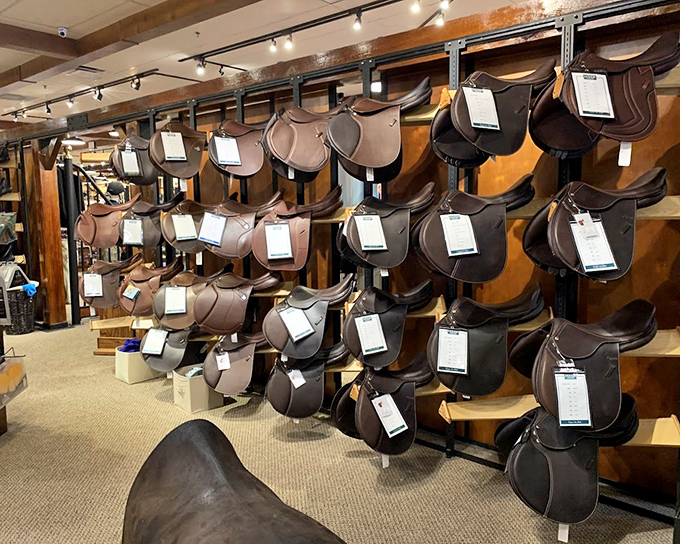 Saddle up for serious shopping! This equestrian collection would make even non-riders contemplate buying a horse just to display these beauties.