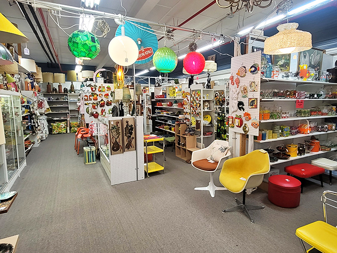 Mid-century modern heaven! These colorful chairs aren't just furniture; they're adoption opportunities for design enthusiasts. 