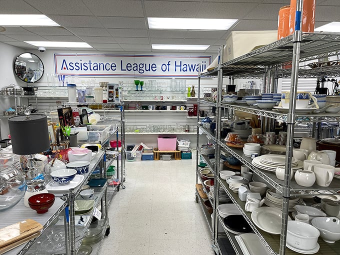 Aisle after aisle of meticulously organized housewares await. It's like someone alphabetized your grandmother's favorite things and put price tags on them.