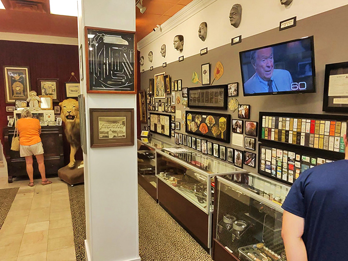 Inside, the collection sprawls across display cases like a macabre library organized by someone with fascinatingly dark interests.