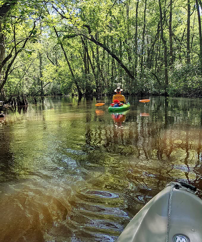 The blackwater kayak trail offers a "Game of Thrones opening credits" view of nature, minus the dragons but with plenty of wonder.