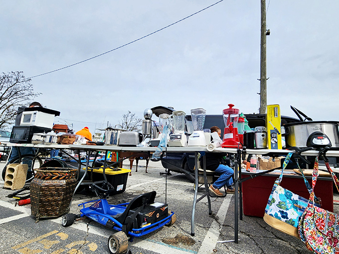 Today's outdoor special: yesterday's kitchen appliances! One person's discarded bread maker is another's culinary revolution waiting to happen.
