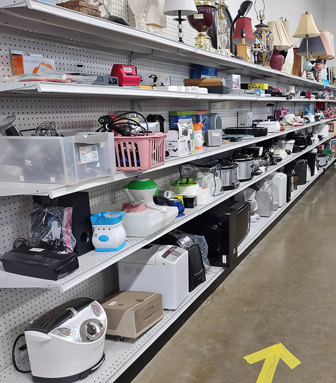 Kitchen appliance heaven! Yesterday's bread makers and today's air fryers line up like hopeful contestants on a culinary talent show.