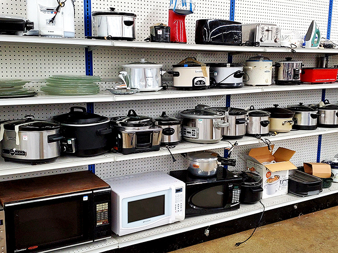 The small appliance section resembles a retirement community for kitchen gadgets where slow cookers and toasters await their second act.