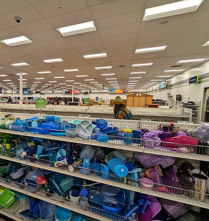 Color-coded plastic bins organize kitchen treasures with military precision. Blue for baking, purple for serving&mdash;a rainbow of domestic possibilities at bargain prices.