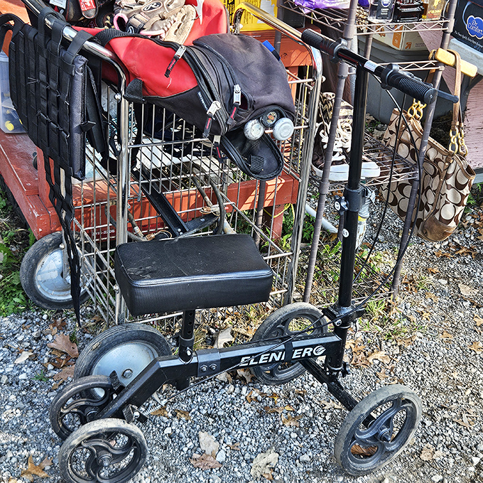 That knee scooter loaded with handbags proves even your shopping cart needs a shopping cart at this place.