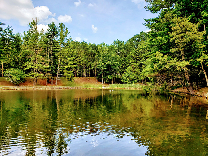 Mirror, mirror on the water&mdash;this tranquil lake reflects Kentucky's woodland beauty with such perfection it could make Narcissus jealous. 