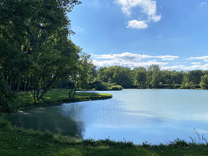 Where trees bow to kiss their reflections, this tranquil lake scene could double as nature's therapy session. No co-pay required.