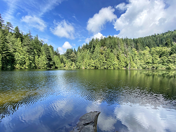 Fragrance Lake mirrors the surrounding forest with such perfection, you'll wonder which reality is more beautiful—the trees or their reflection.