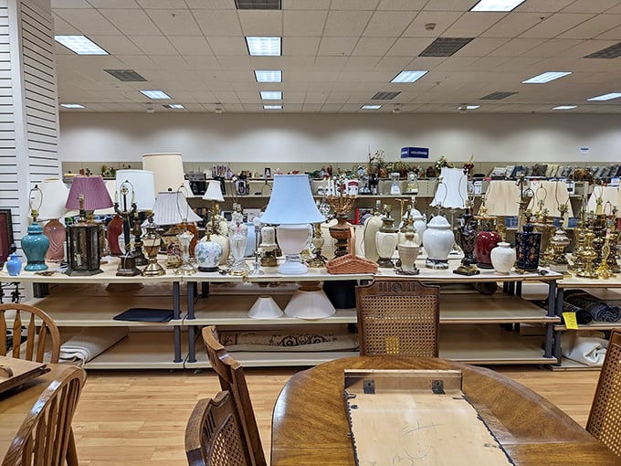 The lamp section glows with possibility &ndash; each one a potential conversation starter or perfect reading companion.