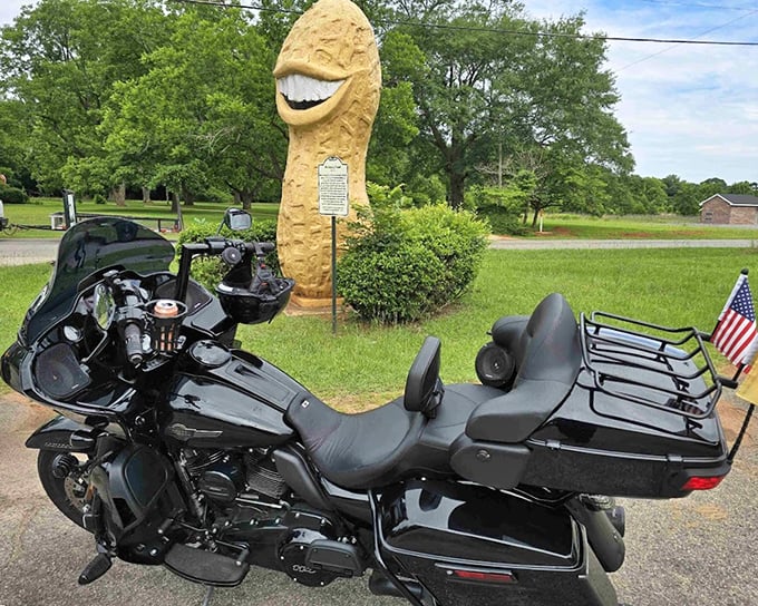 Another angle reveals the monument's impressive scale, with power lines framing this nutty piece of presidential history.