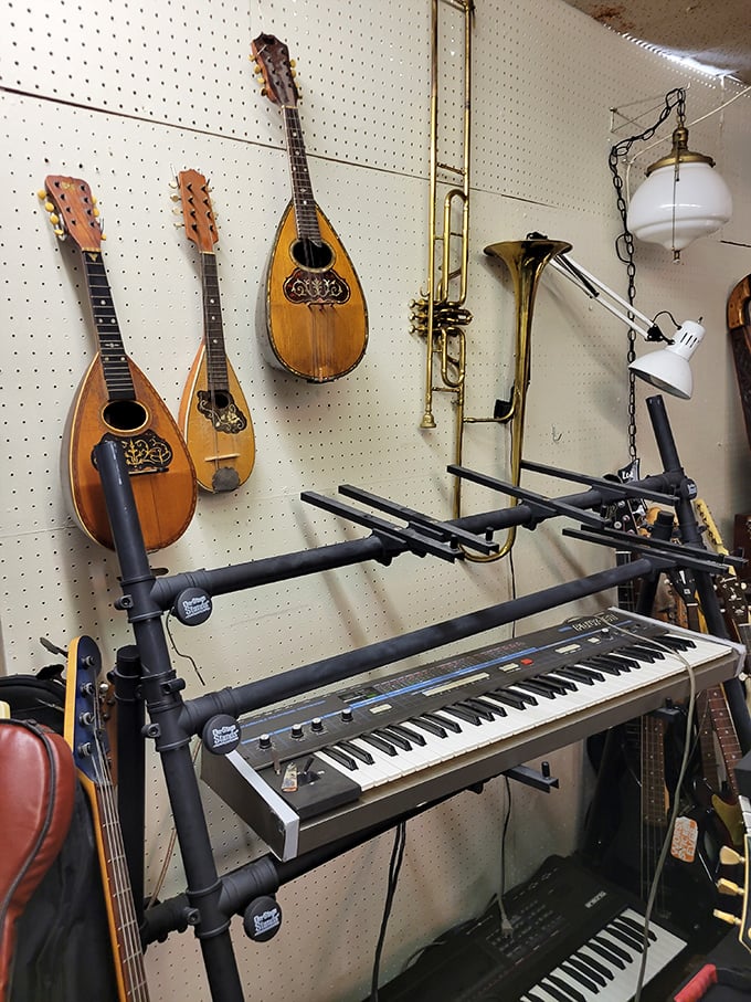 A musical corner where vintage mandolins hang like ripening fruit, waiting for someone to pluck their strings and release melodies from another era.