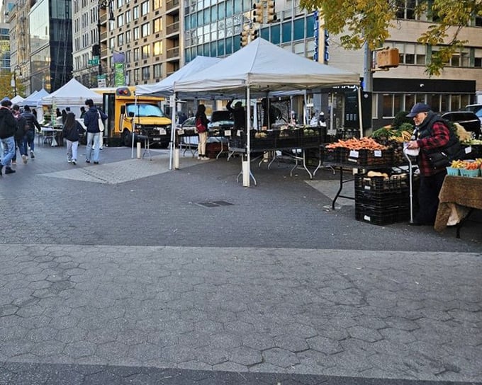 White tents transform concrete into countryside, creating Manhattan's most delicious optical illusion every market day.