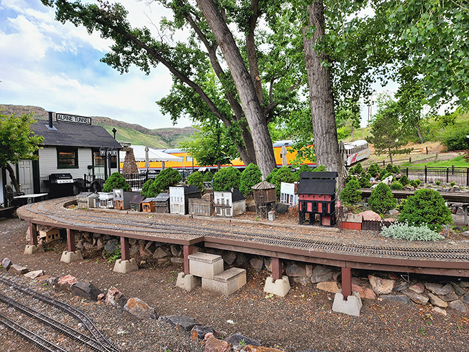 This miniature wonderland beneath towering cottonwoods proves that sometimes the most magical journeys happen on the smallest tracks.