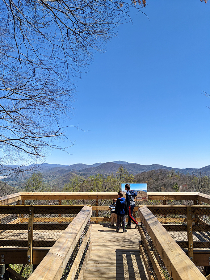 Winter reveals the mountain's bones, offering expansive views normally hidden by summer foliage. The perfect spot for contemplating life's big questions—or just your lunch options.