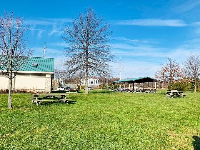 "Unique in many ways" might be the understatement of the century. This blue heron knows what's up&mdash;waterfront real estate without the property taxes.