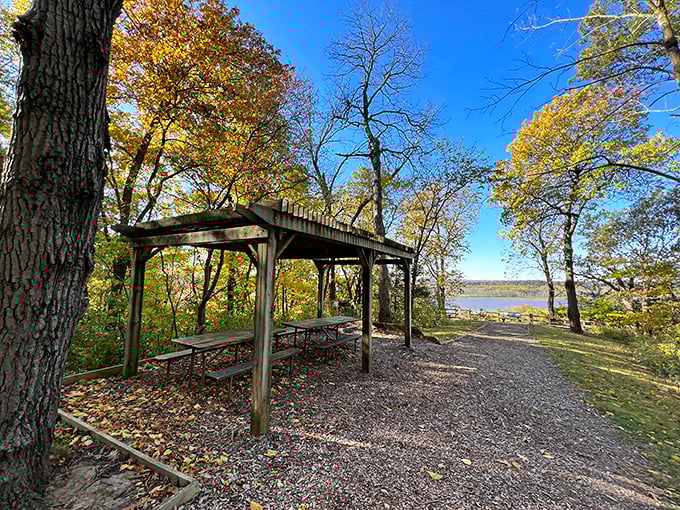 Nature's dining room comes with a view that makes fancy restaurants jealous. BYO sandwich, the ambiance is on the house.