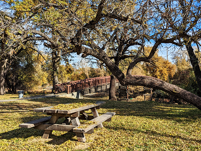 Fall's golden carpet surrounds this picnic spot, where lunch comes with a side of serenity and oak-filtered sunshine.