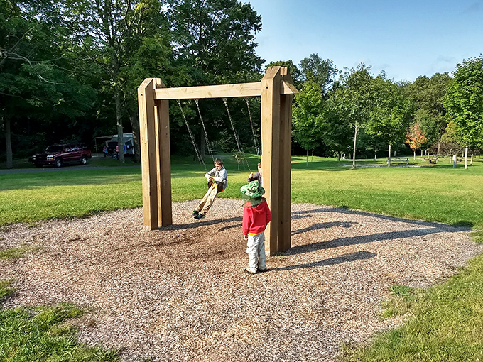 The world's most scenic swing set. Kids get fresh air and panoramic views while parents secretly wish the swings came in adult sizes.