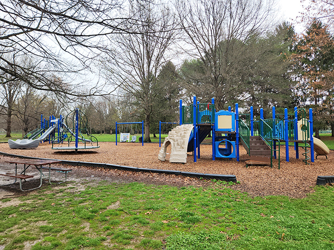 Where childhood dreams are constructed from slides and imagination. Adults secretly wish the height restrictions didn't apply to them.