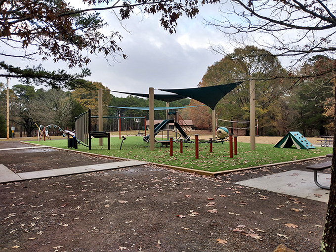 A playground where kids can burn energy while parents secretly wish the swings came in adult sizes. Nature's babysitter at its finest.