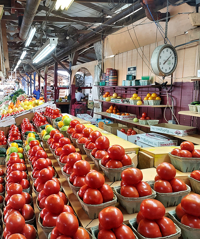 Tomato heaven! These ruby-red beauties lined up like edible jewels remind us why Florida produce has a reputation that outshines the sunshine.