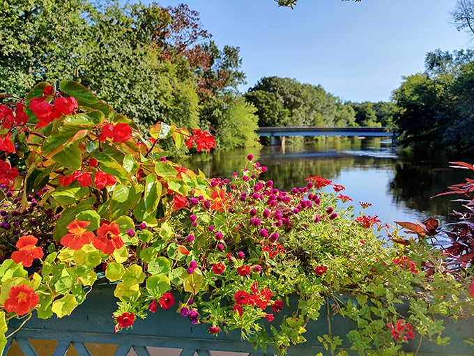 Nature's color wheel spins into overdrive here, with blooms that seem to compete for who can wear the brightest outfit to the garden party.