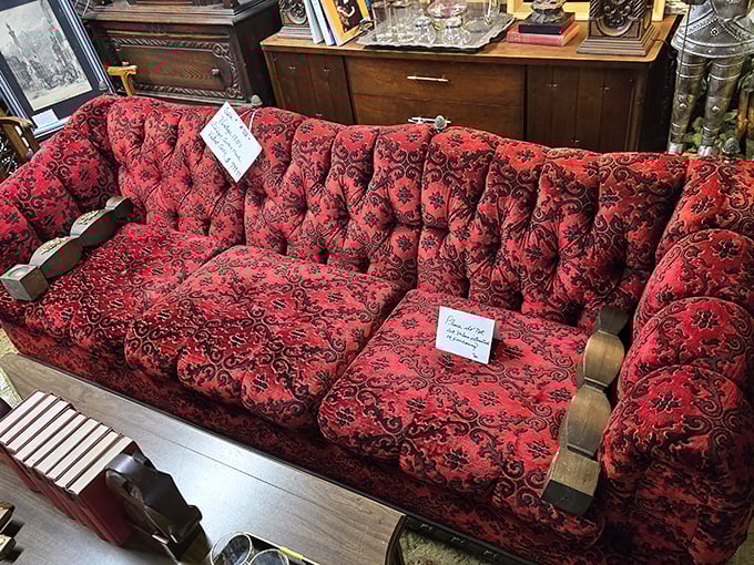 That red velvet sofa has witnessed more family dramas than a Thanksgiving dinner. Just imagine the conversations it could share!