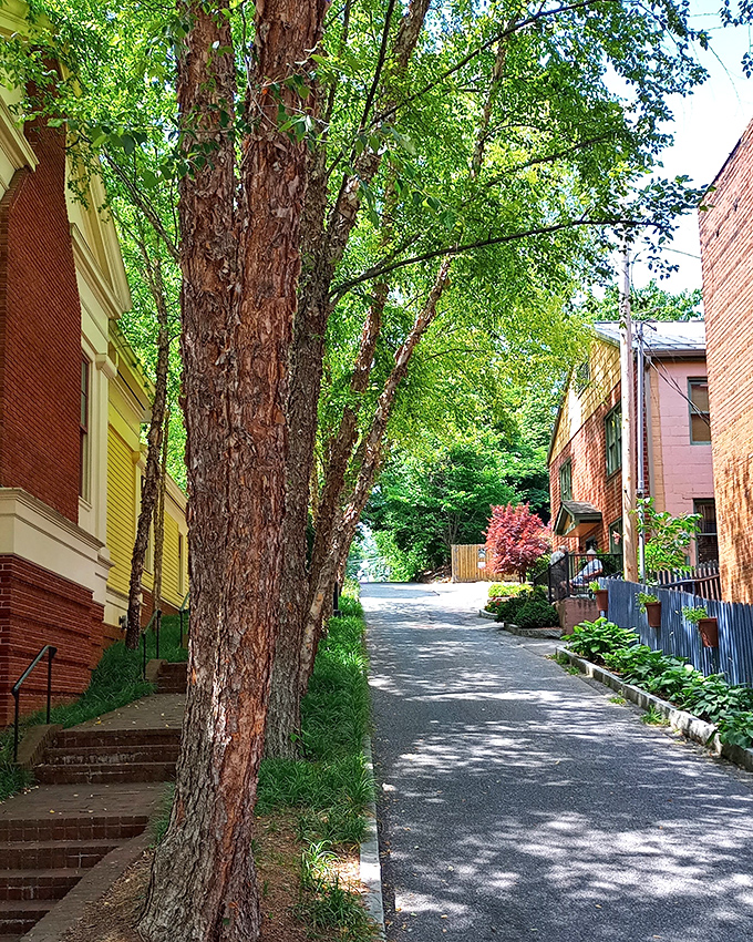 Dappled sunlight plays across this tree-lined alley, where colorful historic homes create a scene straight out of a storybook. Small-town America at its most picturesque.