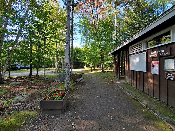 Even the park facilities blend seamlessly into the forest. This rustic restroom building knows exactly what "quiet hours" mean.