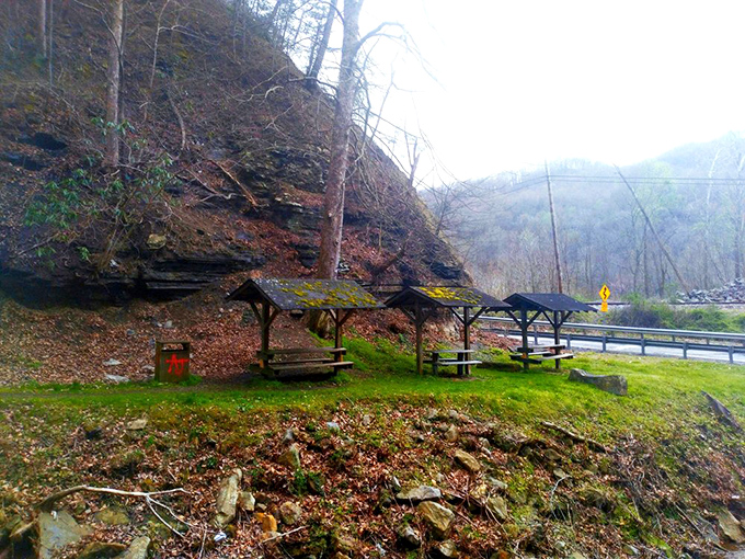 These humble picnic shelters might be the most enviable dining spots in West Virginia. Five-star views without the five-star prices.