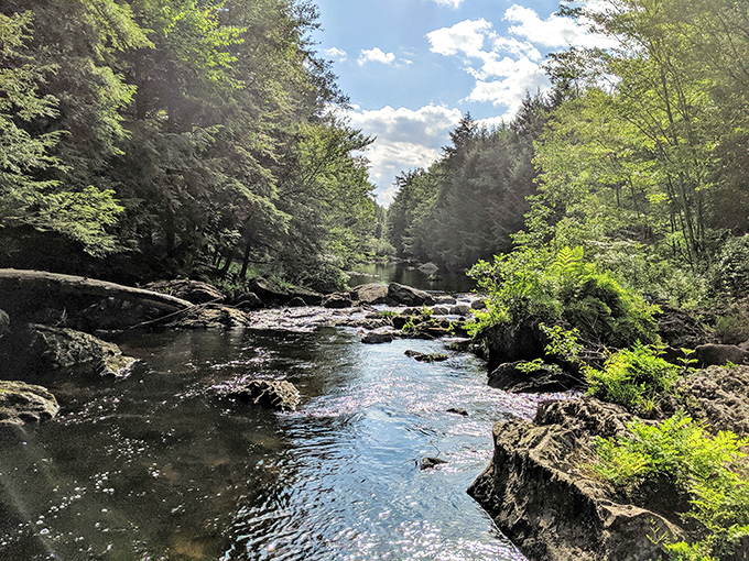 Nature's own rock concert&mdash;minus the crowds and overpriced beverages. This peaceful stream has been perfecting its melody for centuries.