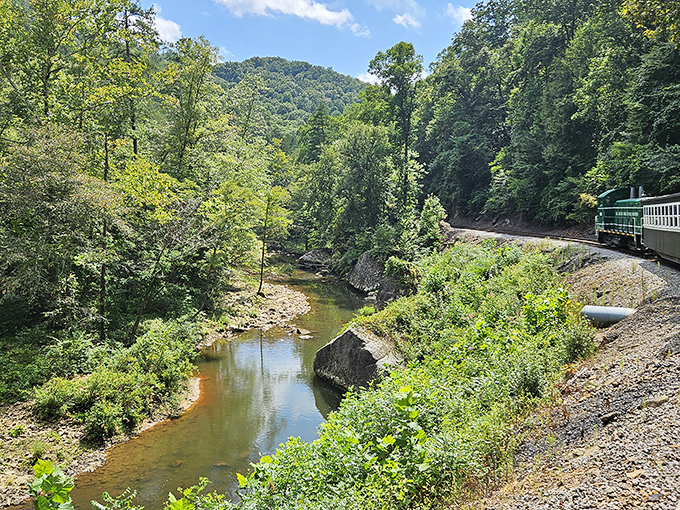 The train hugs the hillside while the creek below reflects the sky, creating that rare moment when "Are we there yet?" becomes "Can we stay longer?"