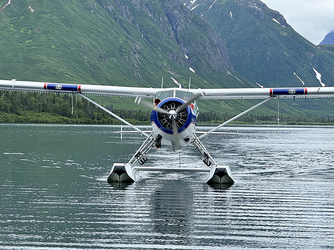 The Alaskan equivalent of a luxury limousine. This floatplane isn't just transportation; it's the golden ticket to wilderness that roads can't reach.