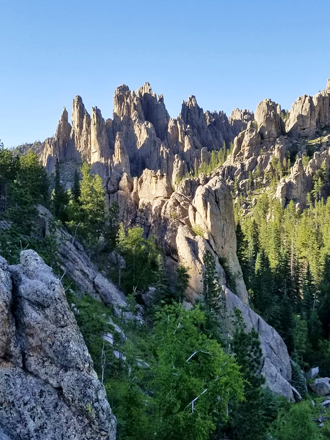 The Cathedral Spires reach skyward like nature's skyscrapers, but with significantly better air quality and zero elevator wait times.