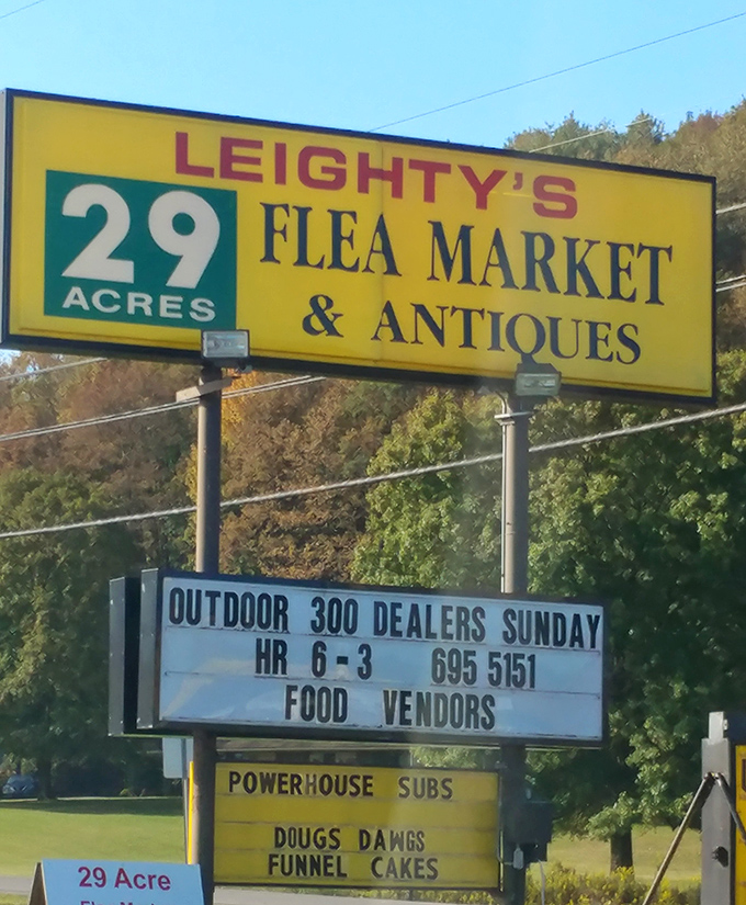 Twenty-nine acres of possibility advertised in cheerful yellow. Like a roadside beacon for bargain hunters with Sunday morning ambitions.