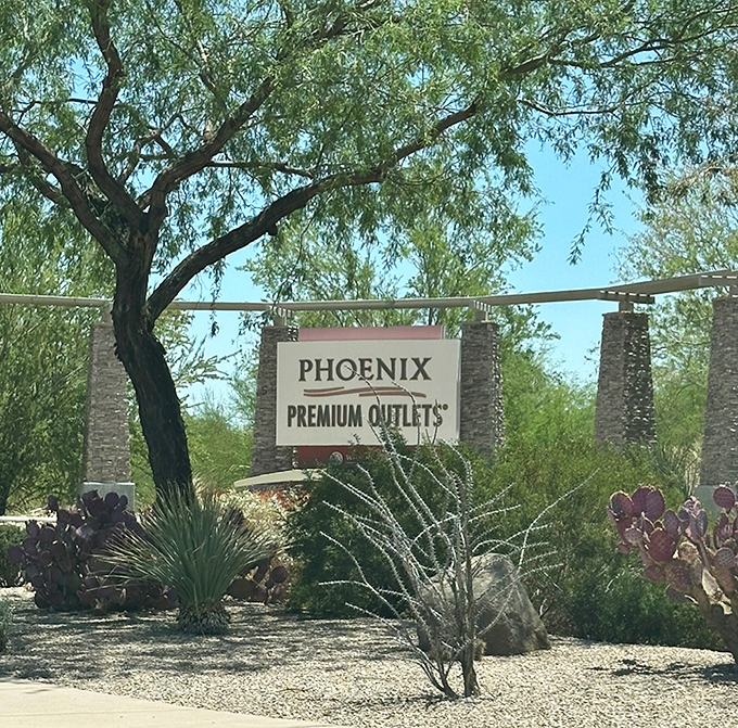 The entrance sign stands proudly among native desert landscaping, like a retail mirage promising designer labels at non-designer prices.