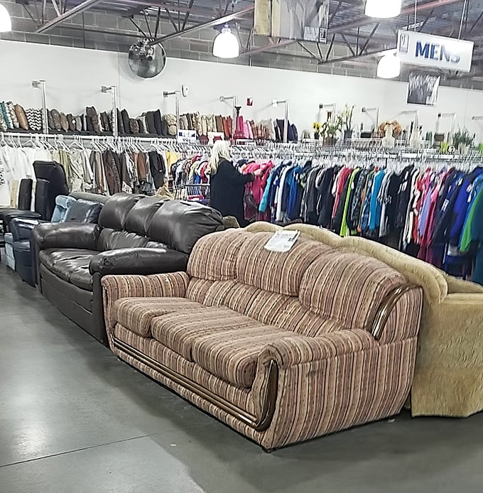 Sofa kingdom! Where yesterday's living room centerpieces line up like hopeful contestants on a reality show called "Pick Me, I'm Still Comfy!"