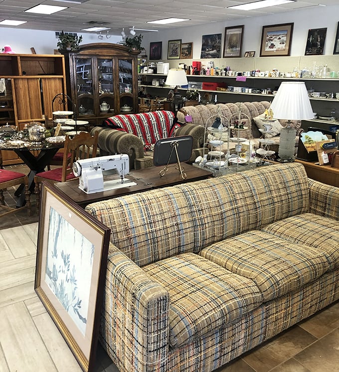 The plaid couch section: where your grandmother's living room meets your hipster nephew's apartment dreams. That checkered beauty has stories to tell.