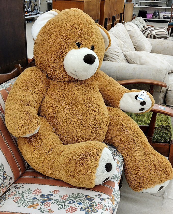 "Adopt me!" says this oversized teddy bear lounging regally on vintage furniture. Some treasures come with built-in hugs.