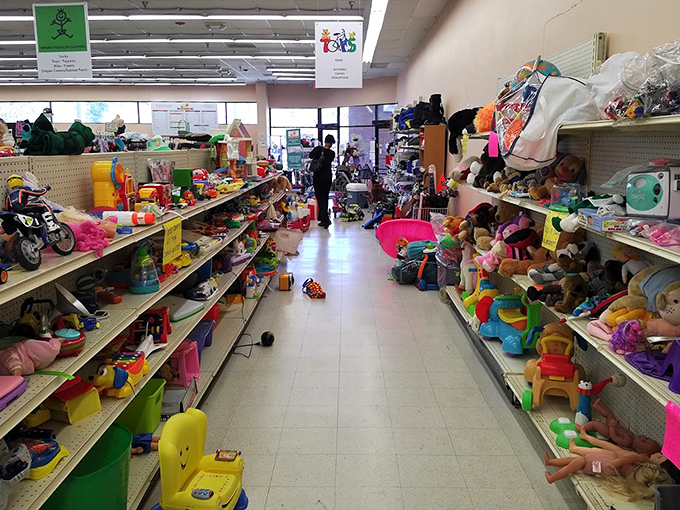 Toy paradise! Where childhood dreams come with price tags small enough to make parents the heroes they've always aspired to be.