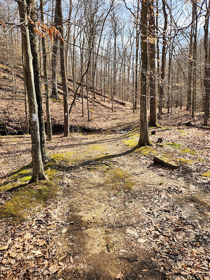 The trail beckons with promises of adventure and the gentle reminder that the best views come after the steepest climbs.