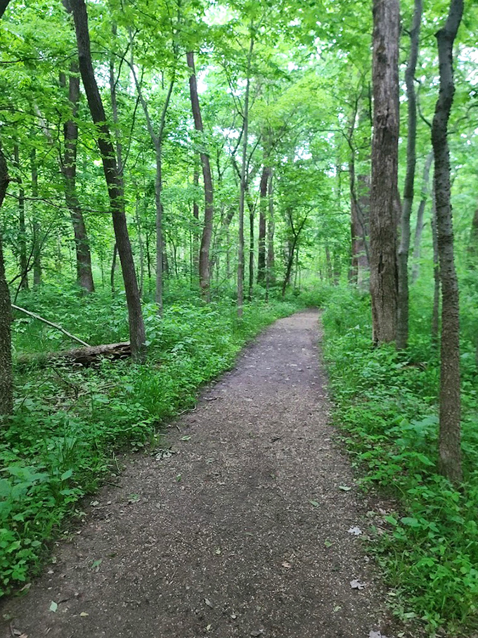 Nature's hallway beckons with a well-maintained trail cutting through fifty shades of green. No gym membership required for this therapeutic walk.