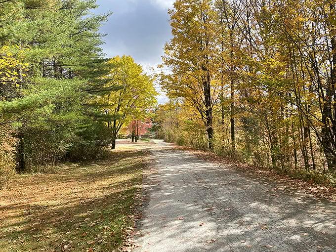Autumn's golden tunnel beckons adventurers forward. This winding path through Bomoseen's fall foliage is Vermont's version of the yellow brick road.
